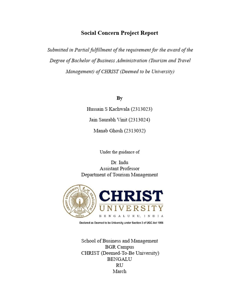 Social Concern Project Report | PDF