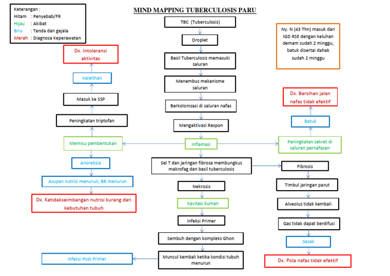 Mind Mapping Tuberculosis Paru | PDF