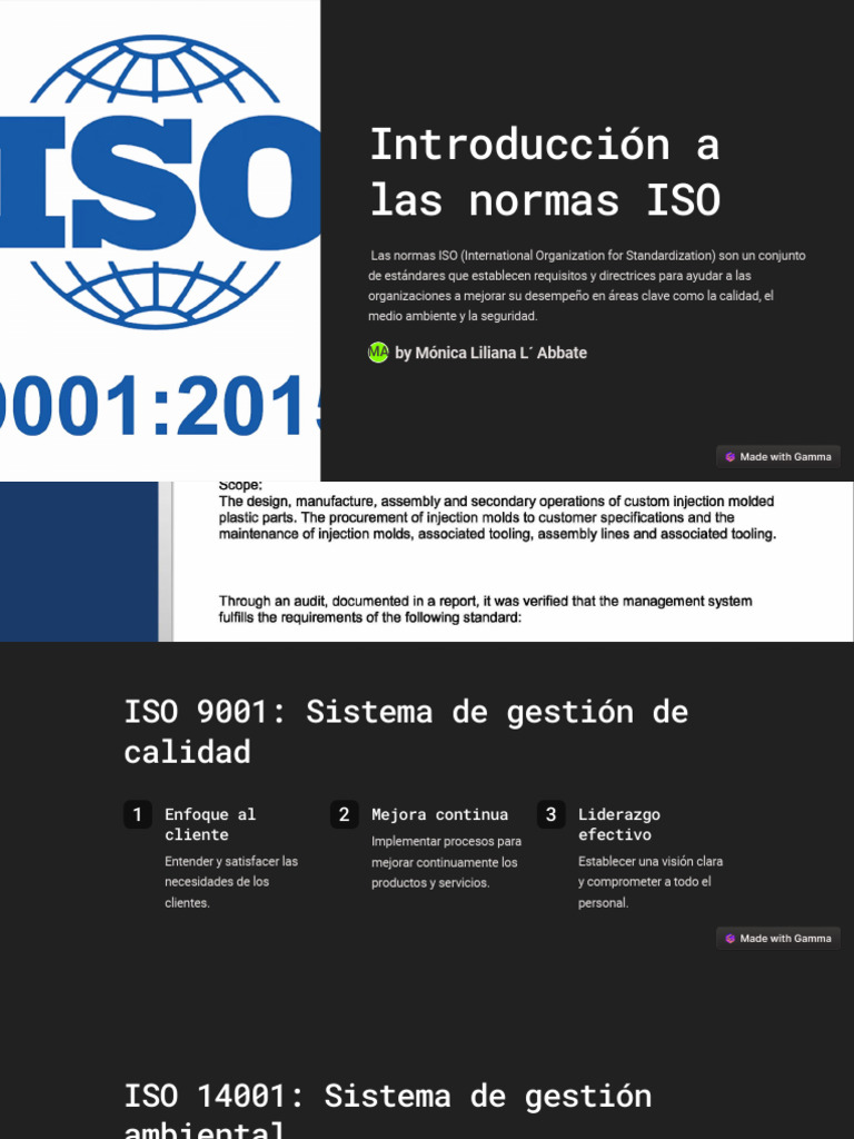 Introduccion A Las Normas ISO | PDF | Calidad (comercial) | Economias