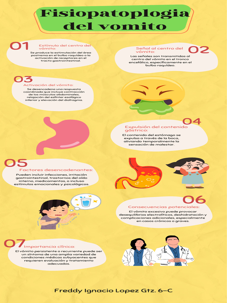 Infograifia de Vomito | PDF | Vómitos | Estómago