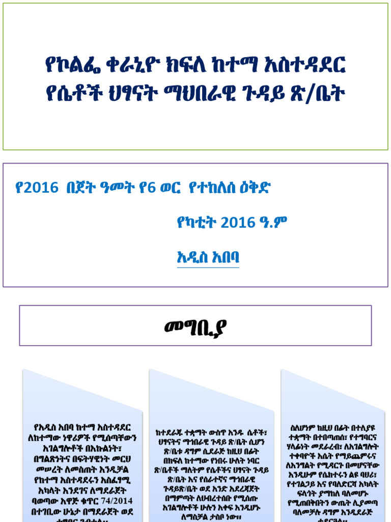 6 Monthe Revised Plan | PDF