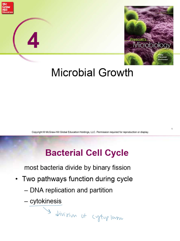 Lecture 4 - Microbial Growth | PDF | Biofilm | Growth Medium