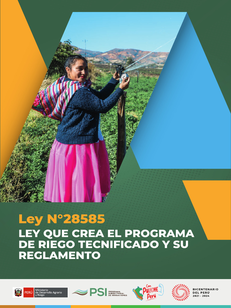 LEY 28585 RT - Actualizado 2023 | PDF