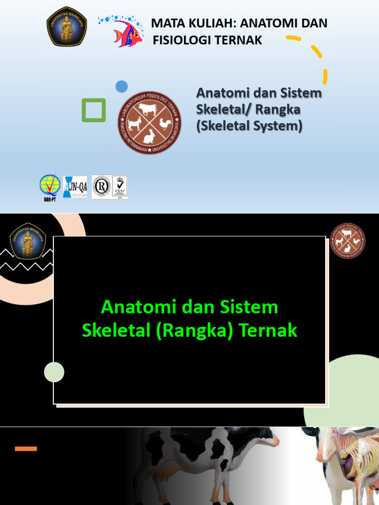 4-Anatomi Dan Sistem Skeletal (Rangka) Ternak | PDF