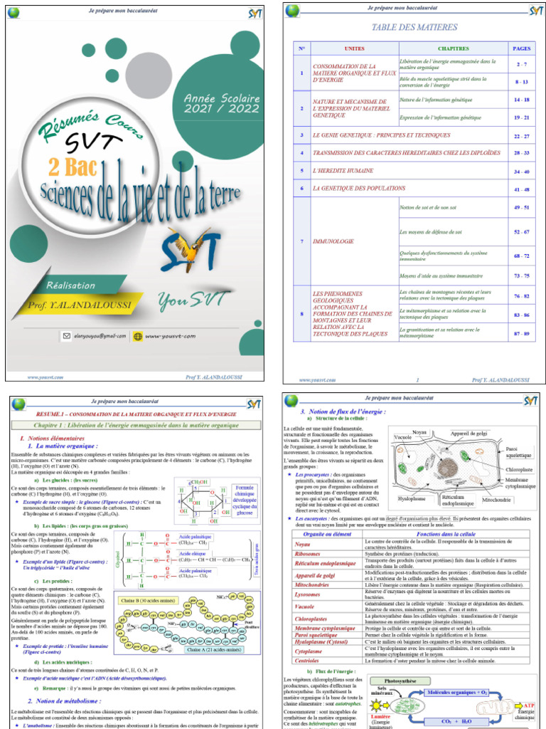 RESUME SVT 2eme Bac SVT - Unlocked | PDF