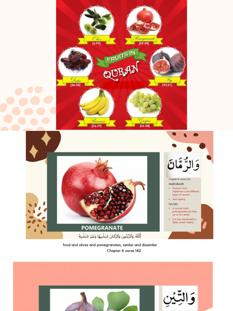 Fruits Mentiond in The Quran | PDF
