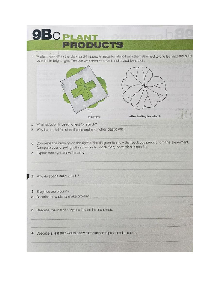 Plant Products | PDF