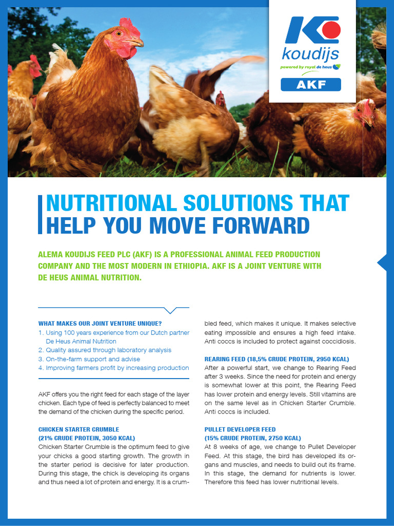 Layer Chicken Brochure | PDF | Nutrition | Diet & Nutrition