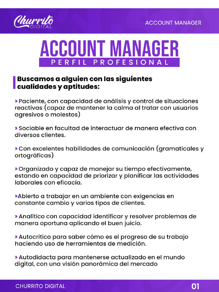 Perfil Account Manager | PDF