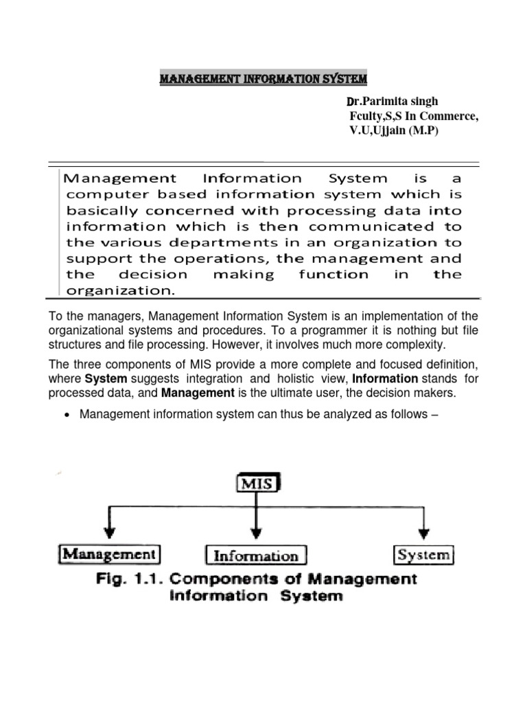 Management Information System Basic DR - Parimita Singh | PDF ...