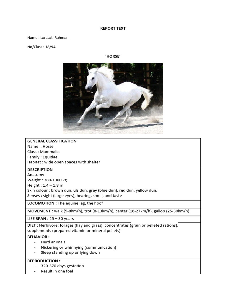 Text Report 'Horse' (Drafts) | PDF | Home & Garden | Wellness