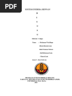 Jenis Burung Elang Di Indonesia | PDF