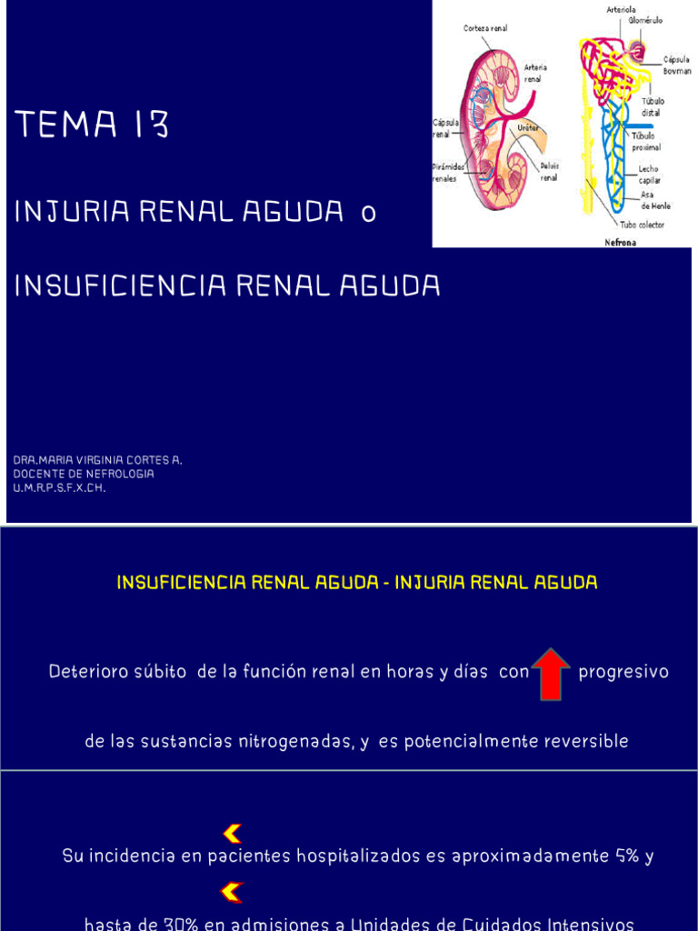 Tema 13. - Injuria Renal Aguda (Autoguardado) | PDF | Inflamación | Calcio