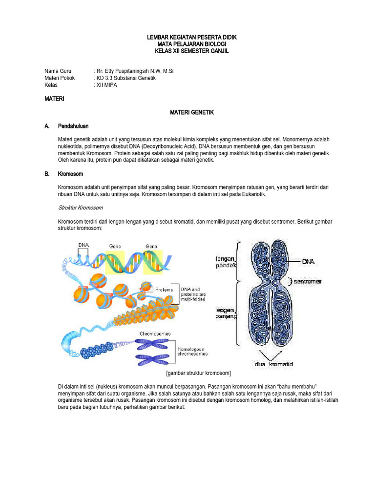 LKPD 3.3 Substansi Genetika | PDF | Kesehatan Holistik