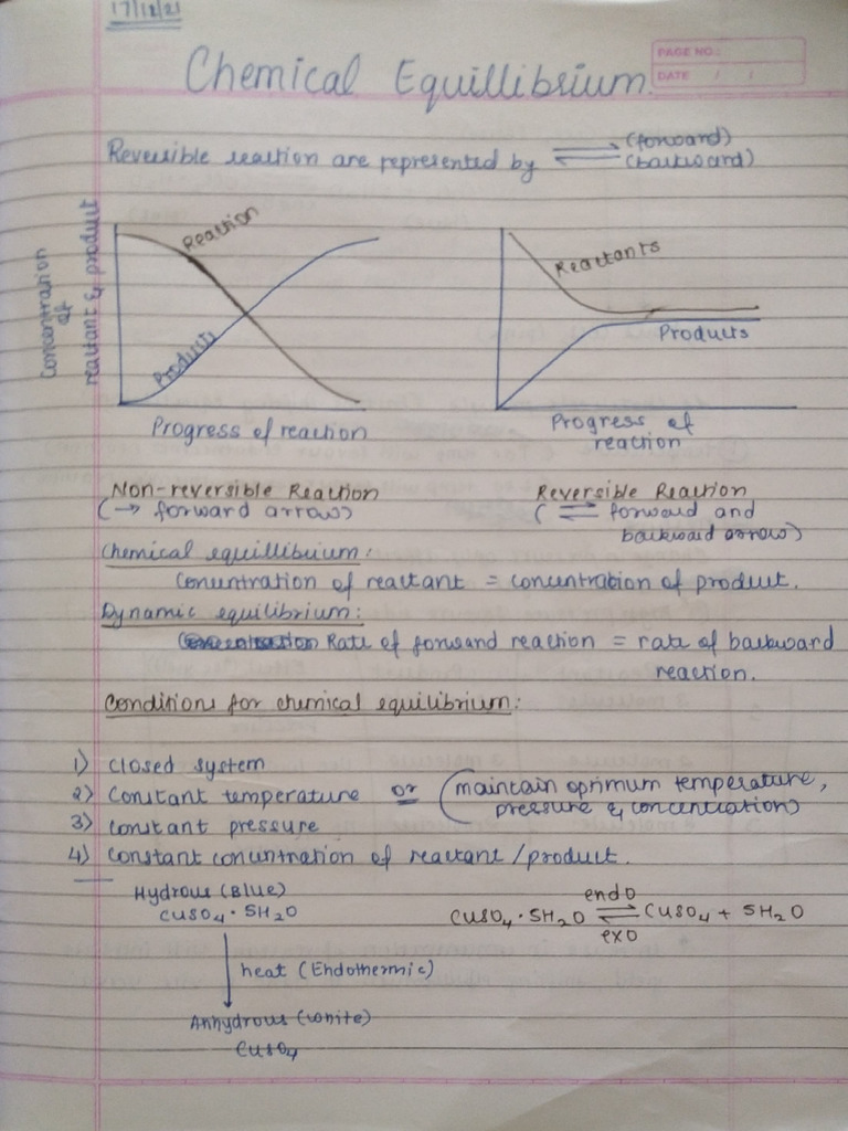 Equilibrium Notes - IGCSE | PDF Equilibrium Notes - IGCSE | PDF