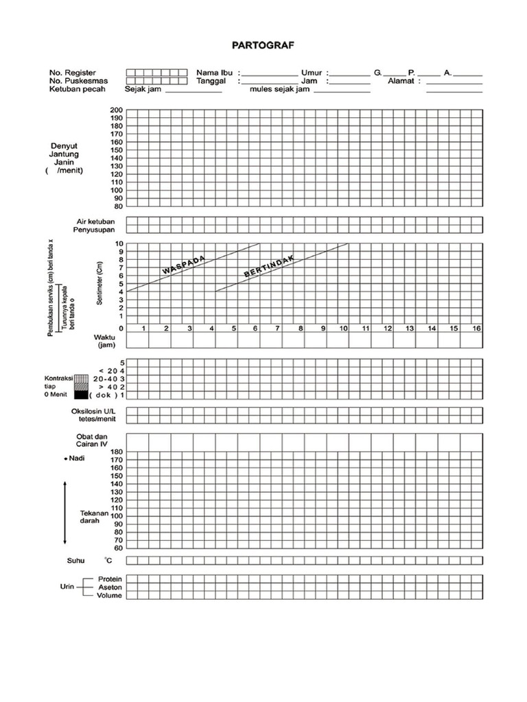 Format Partograf | PDF