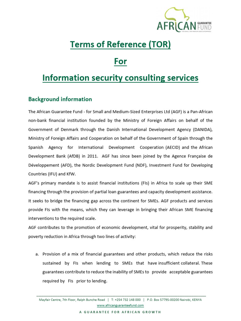 Information Security Consultant TOR | PDF | Security | Computer Security