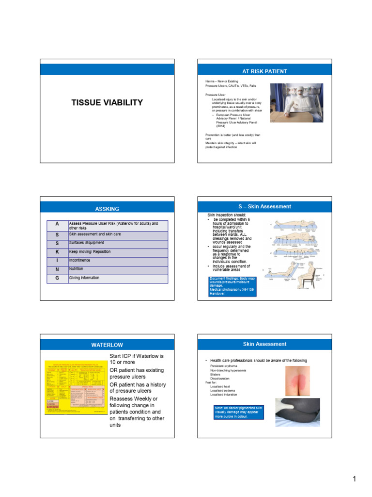 Tissue Viability | PDF | Skin | Dermatology