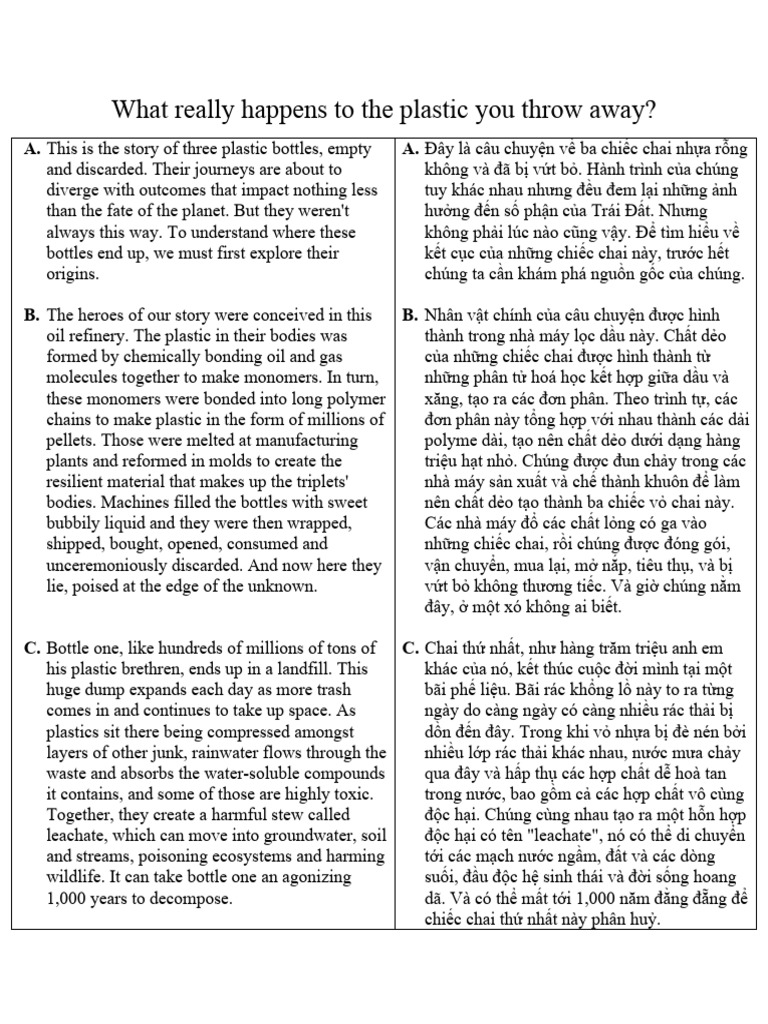 What Really Happens To The Plastic You Throw Away | PDF