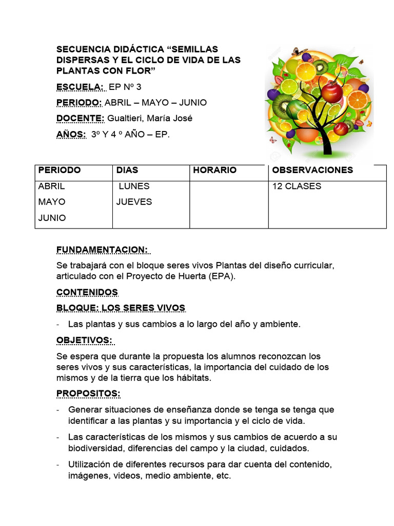 Ciclo de Vida de las Plantas para 4º | PDF | Plantas | Botánica
