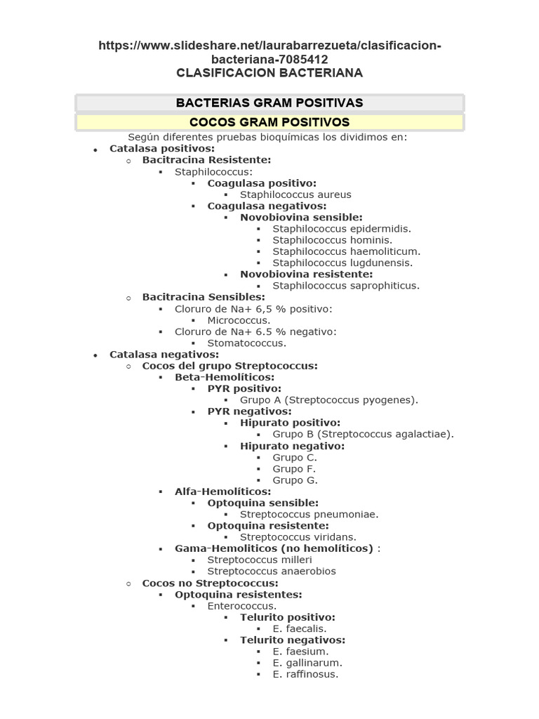Clasificación de Bacterias Gram | PDF | Estreptococo | Bacterias Gram ...