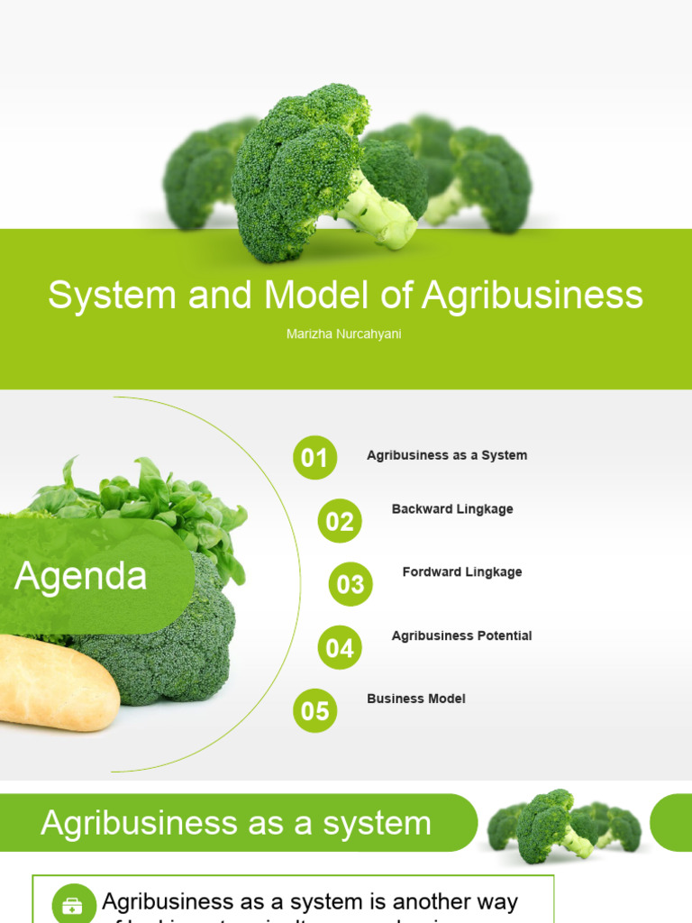 5. System and Model of Agribusiness | PDF | Agribusiness | Agriculture
