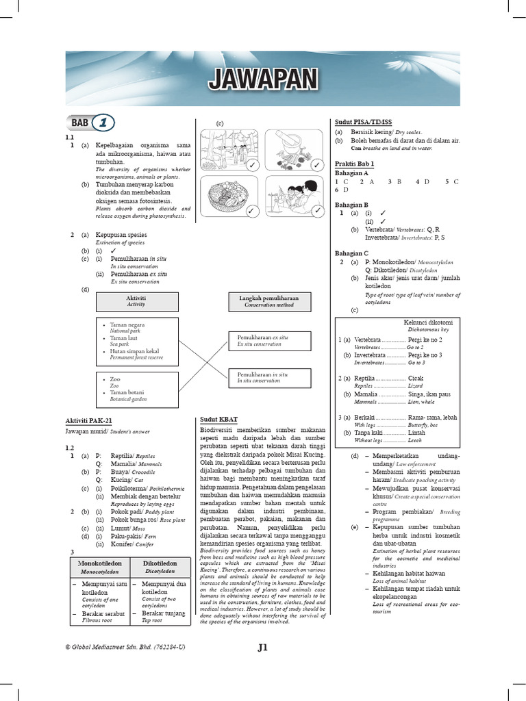 Jawapan Sains Ting 2 | PDF | Digestion | Glucose