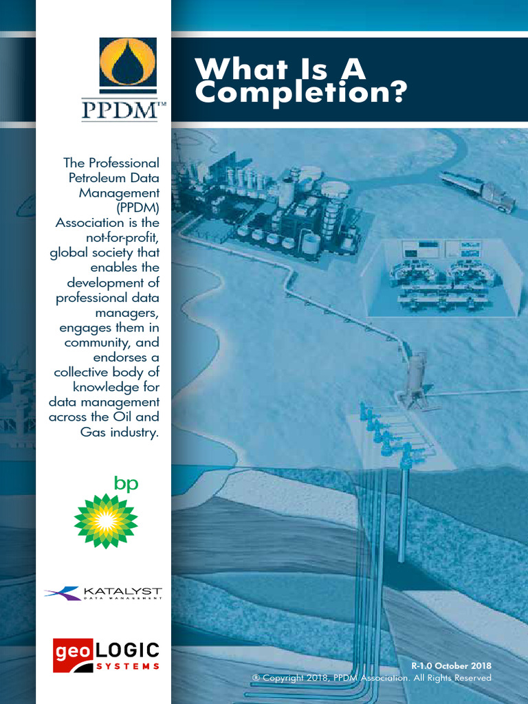 What Is A Completion | PDF | Petroleum Reservoir | Information