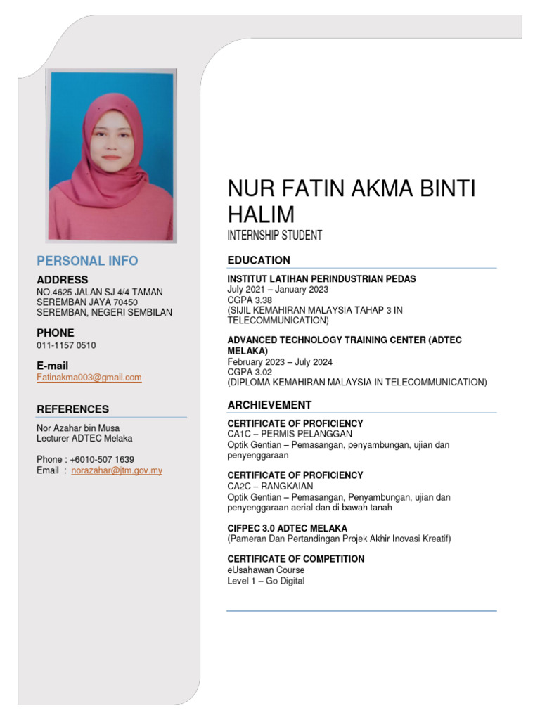 Telecom Intern Profile | PDF
