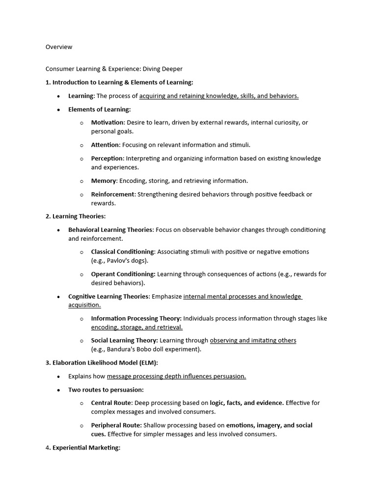 Consumer Learning & Experience | PDF | Learning | Brand