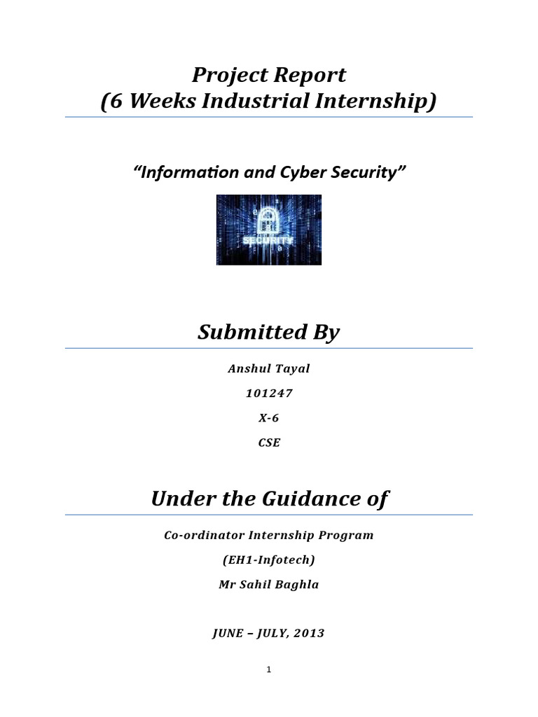 Internship Project Report | PDF | Ip Address | Malware