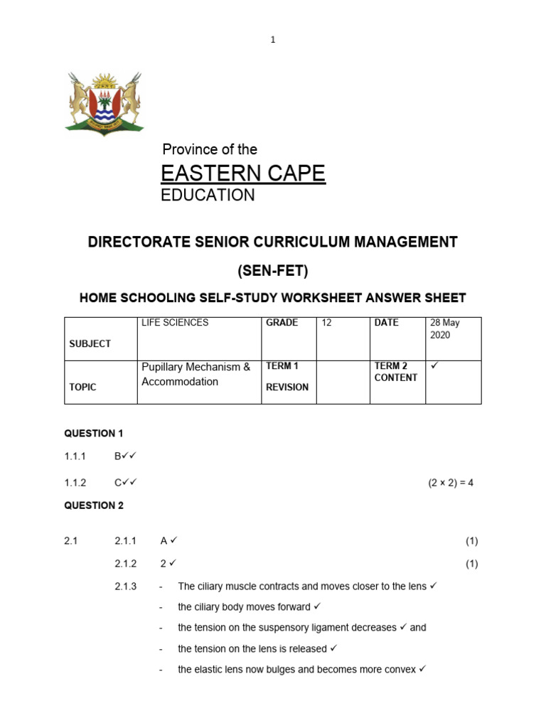 c5 Life Sc Gr 12 Worksheet 5 Ans Pupillary Mechanism And Accommodation Worksheet Memo | PDF ...