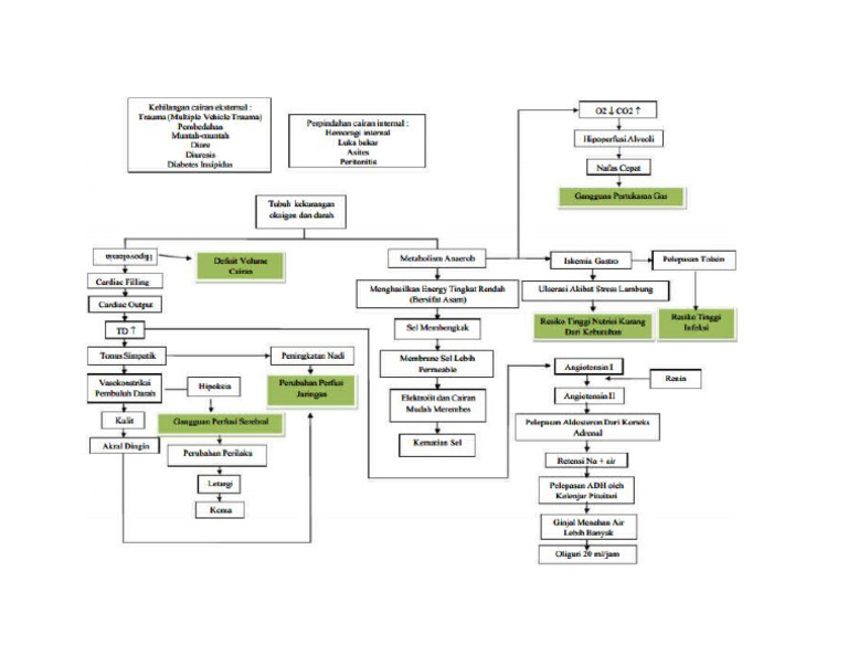 WOC Syok HIpovolemik | PDF