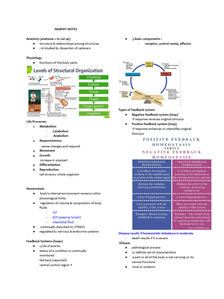 Anaphy Lec | PDF | Cell Membrane | Endoplasmic Reticulum