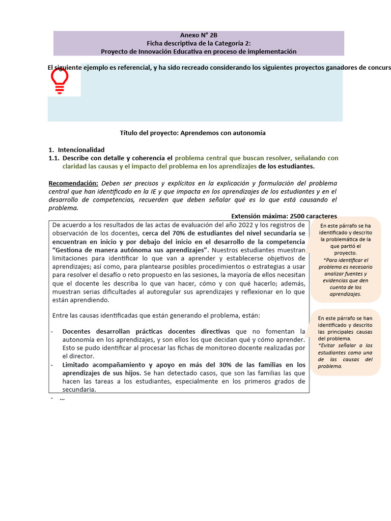 Anexo 2b - Cnpie 2024_ejemplo (1) | PDF | Aprendizaje | Evaluación