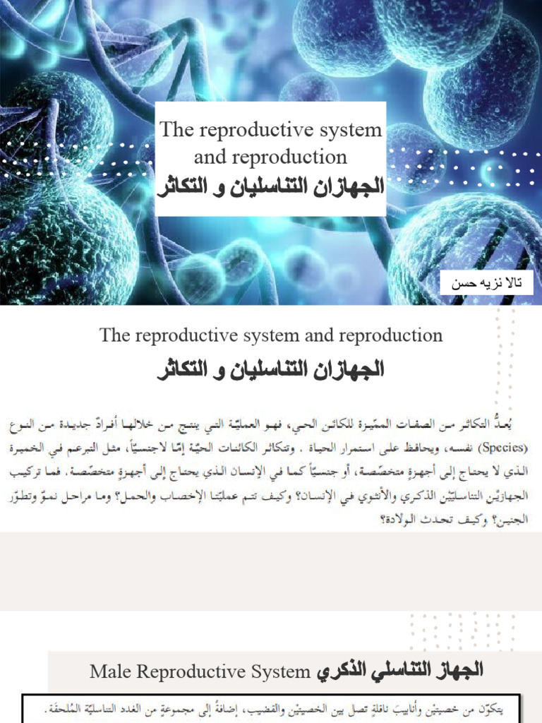 The reproductive system.. | PDF