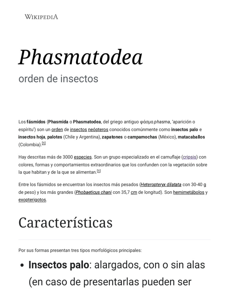 Phasmatodea Wikipedia La Enciclopedia Libre Pdf Hexapoda Biología