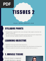 Class 9th Animal Tissue Notes | PDF | Epithelium | Muscle