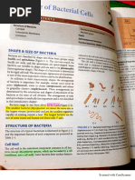 Extreme Mathematics Grade 9 | PDF