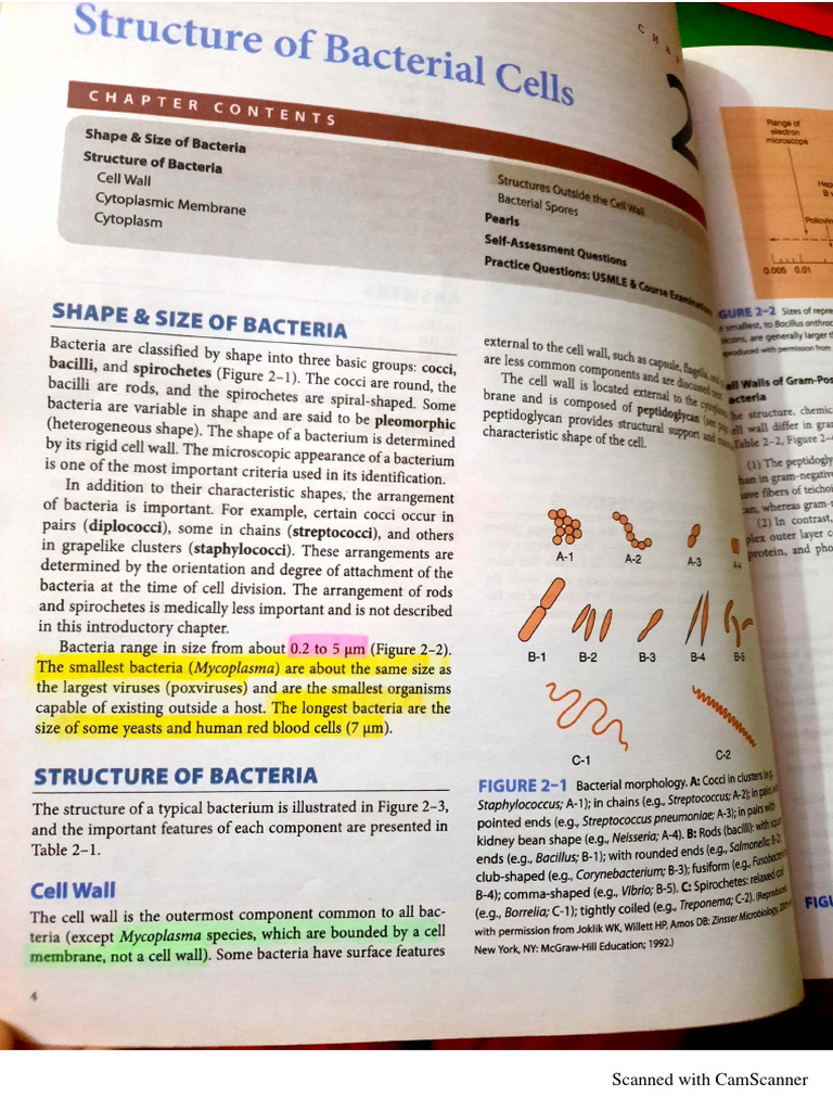 General Bacterio Shortlisting | PDF