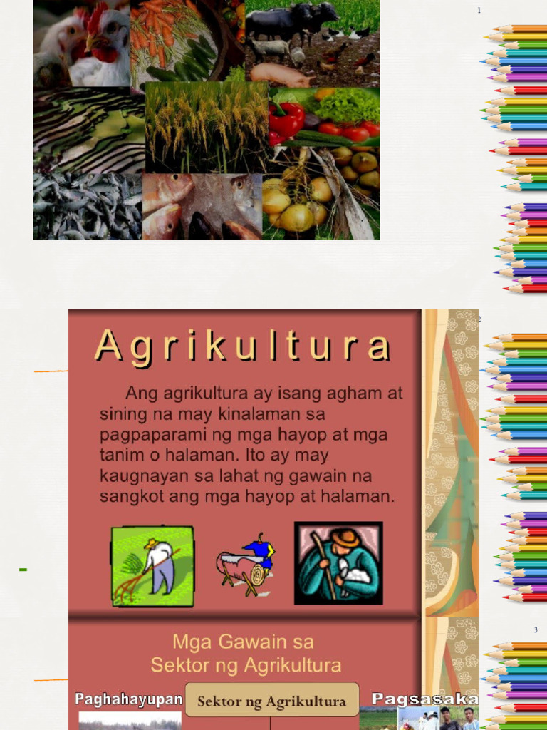 Agrikultura: Icons and Infographics Guide | PDF
