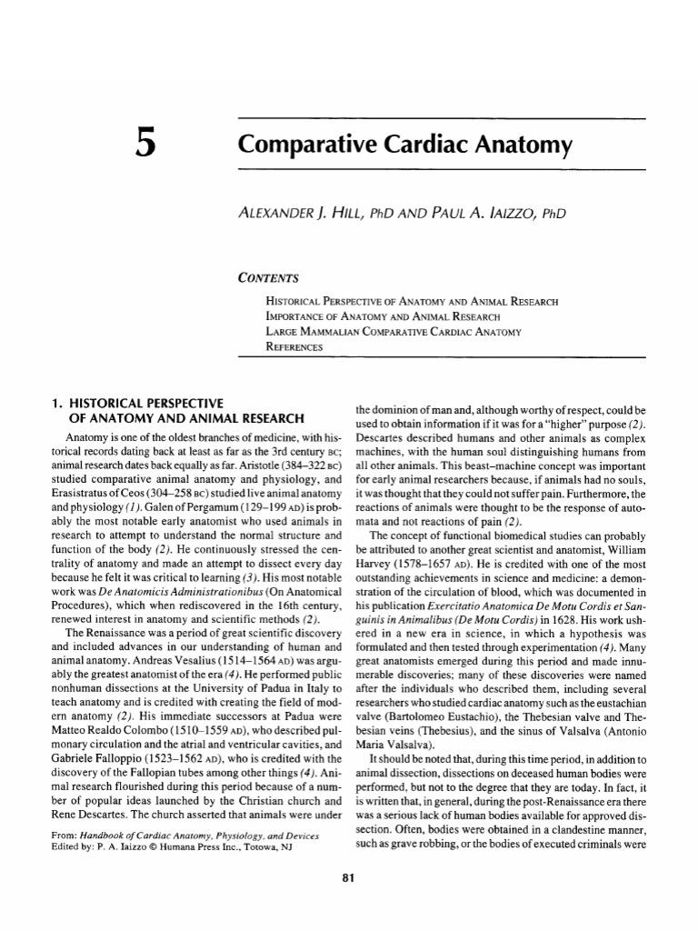Comparative Cardiac Anatomy | PDF | Atrium (Heart) | Heart Valve