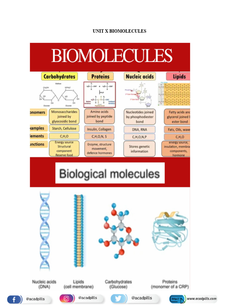 Biomolecules | PDF | Nucleic Acids | Dna