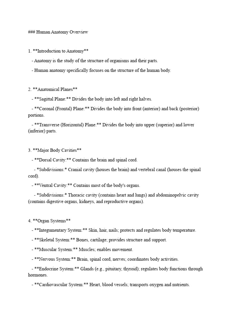 Human Anatomy Overview | PDF | Human Body | Anatomical Terms Of Location