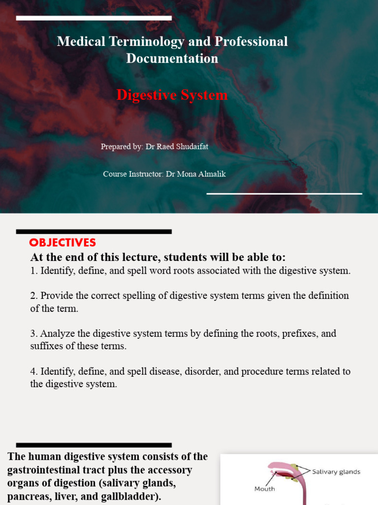 Lecture 8 Digestive System Pdf Human Digestive System