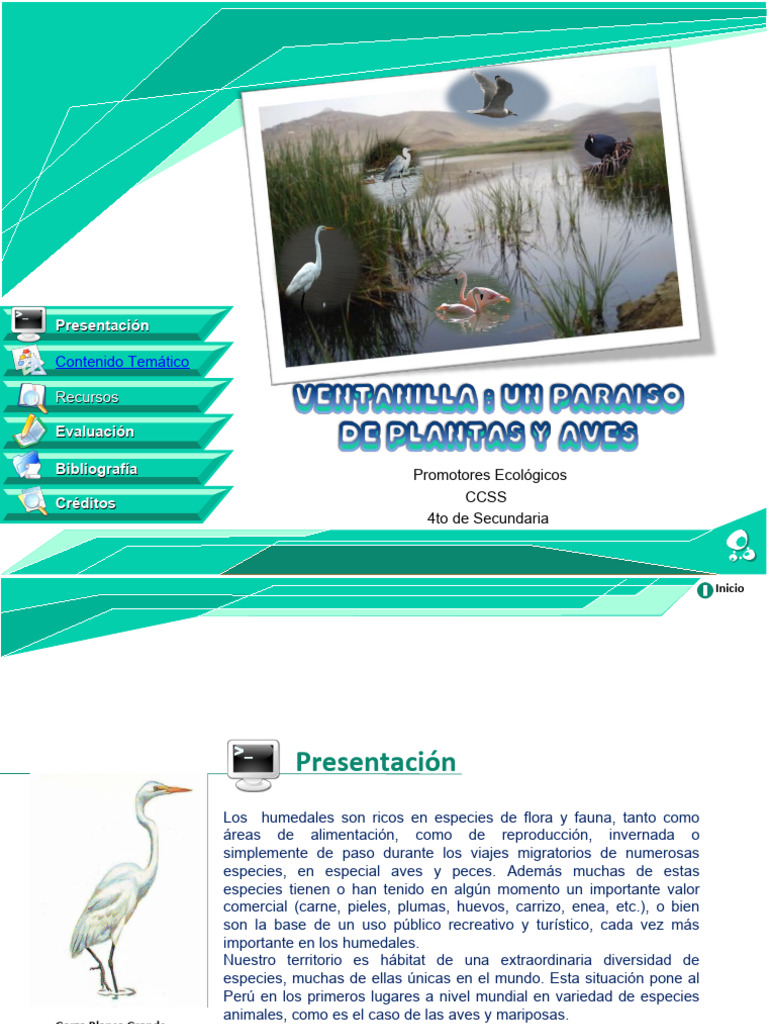Fauna y Flora de los Humedales de Ventanilla | PDF | Fauna | Aves