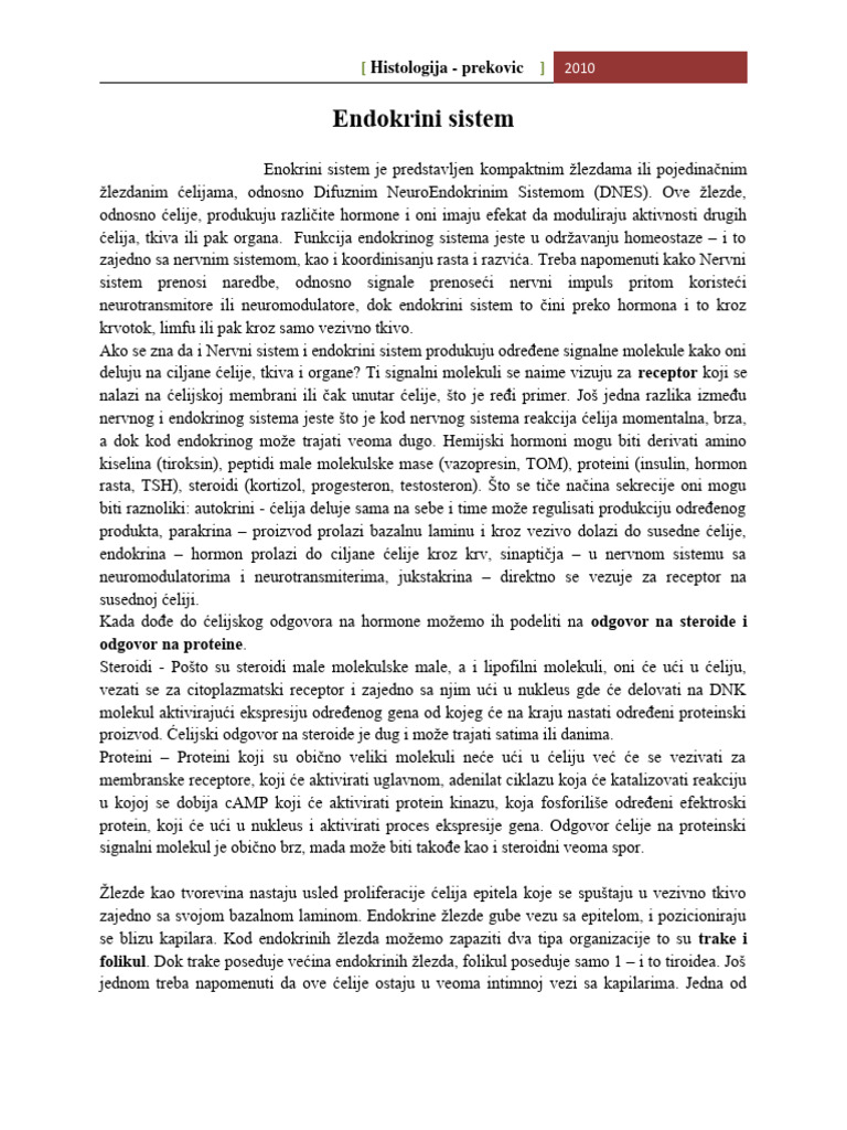 Endokrini Sistem | PDF