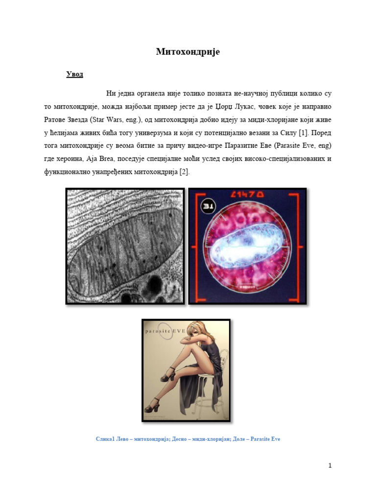 Mitohondrije | PDF