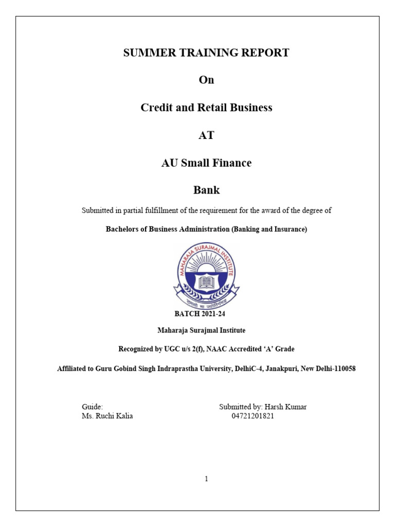 Summer Training Report 1 | PDF | Loans | Finance & Money Management