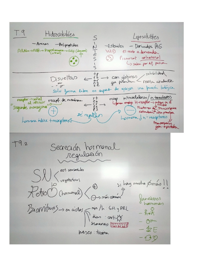 esquemas fisio 2 | PDF